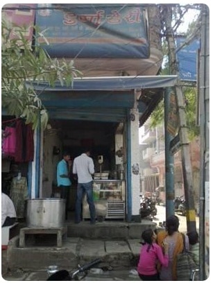 Shree Durga Dairy » Indian Cattle